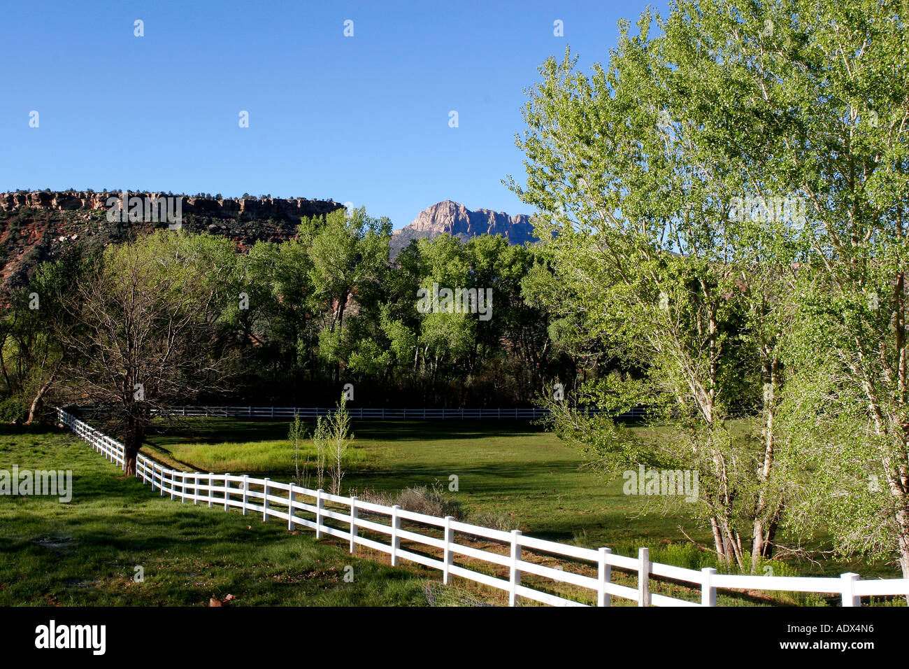 farmland in Utah desert USA Stock Photo - Alamy