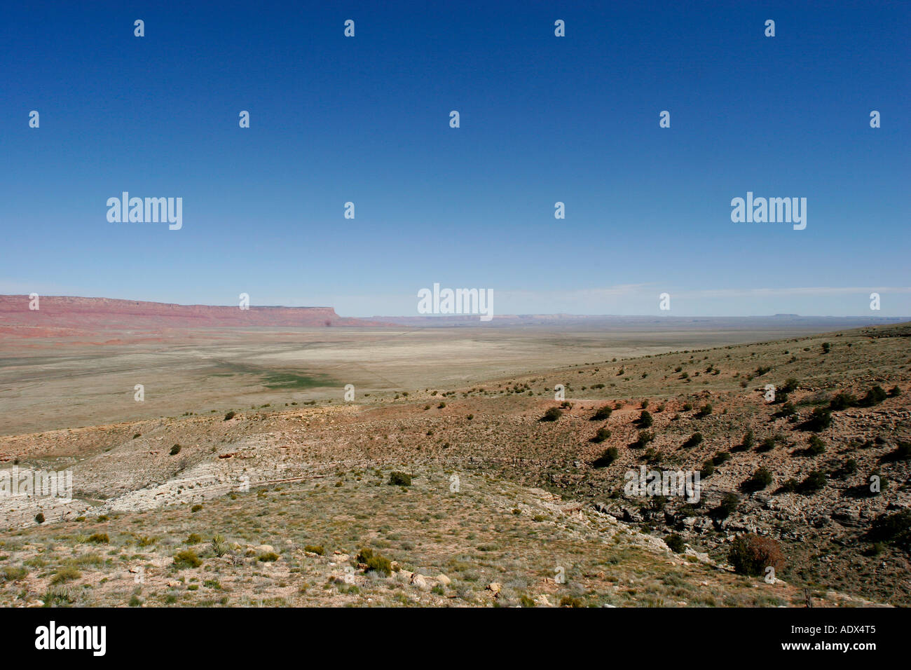 open desert Arizona desert USA red rock dry flat blue sky rough rugged ...