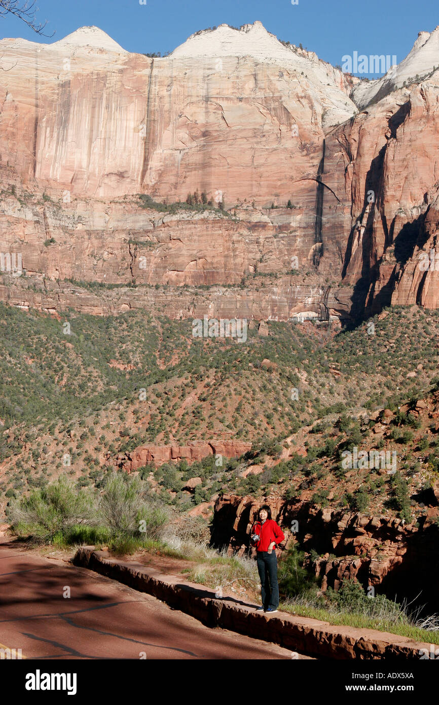 slickrock Zion National Park Utah USA Stock Photo - Alamy