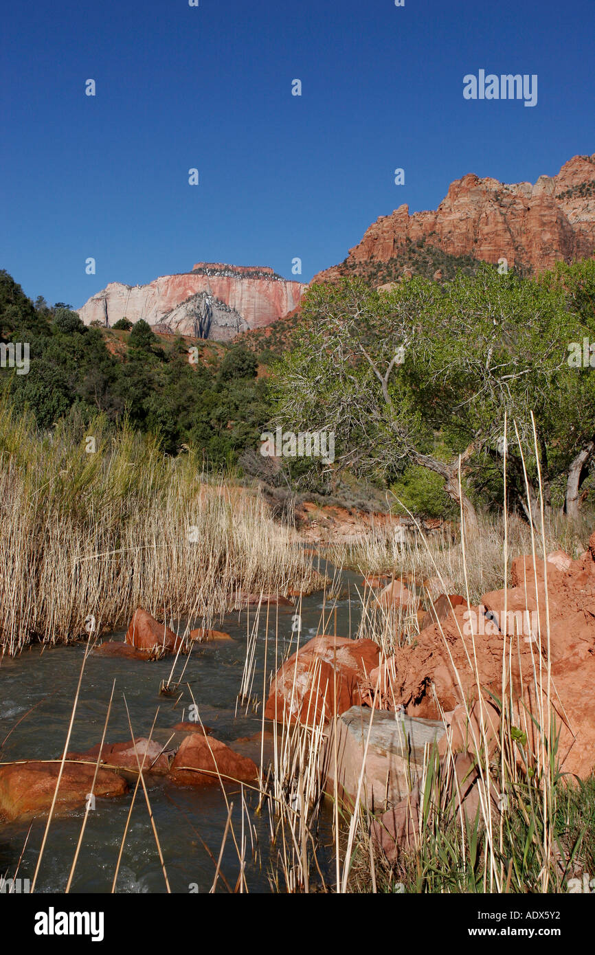 slickrock Zion National Park Utah USA Stock Photo - Alamy