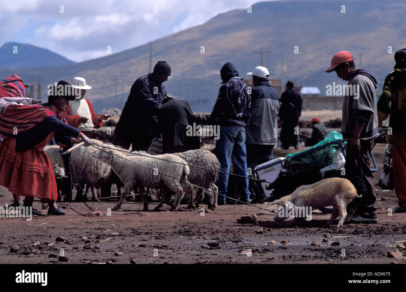 Mercado puno hi-res stock photography and images - Alamy
