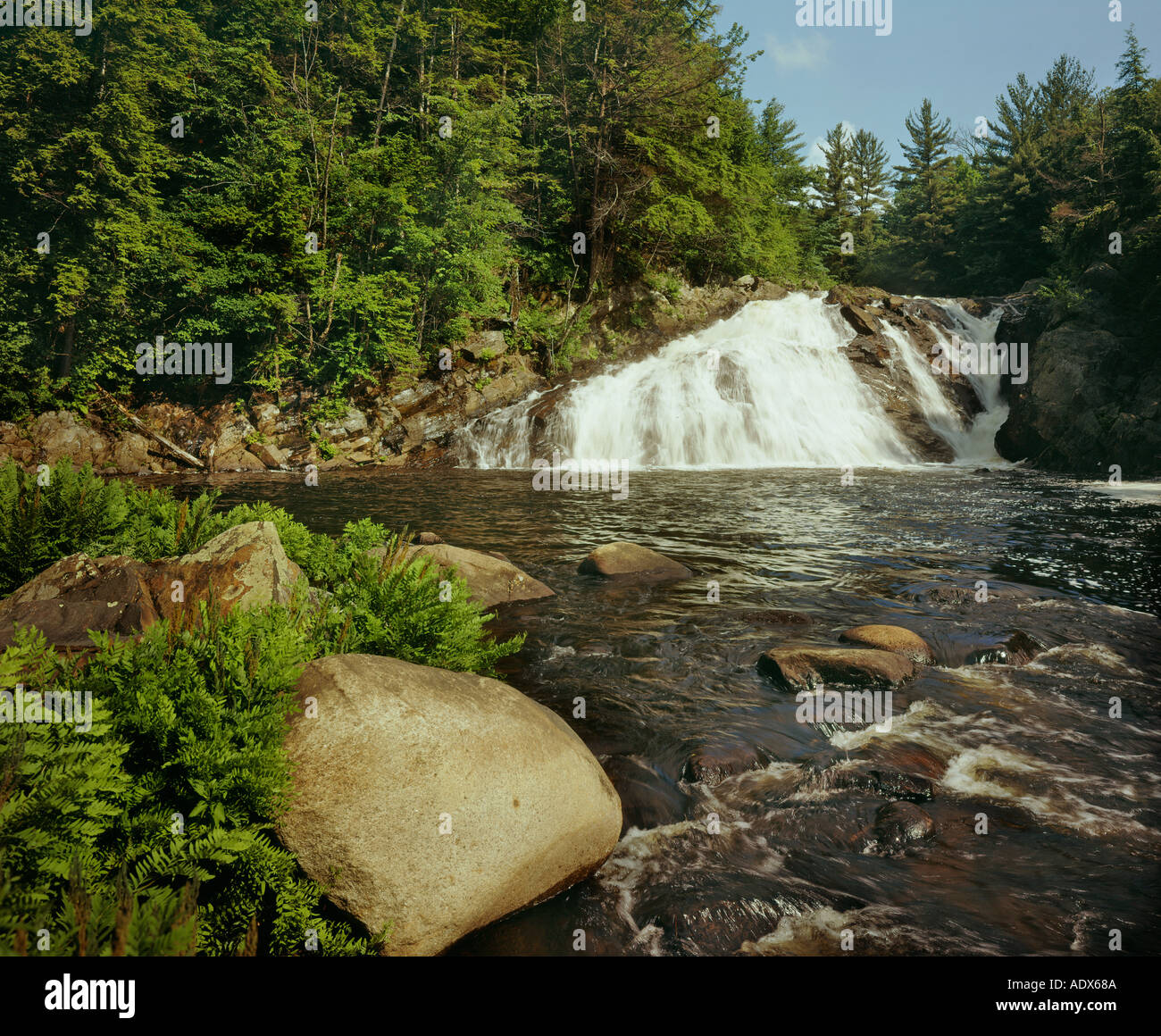 New profile hi-res stock photography and images - Alamy