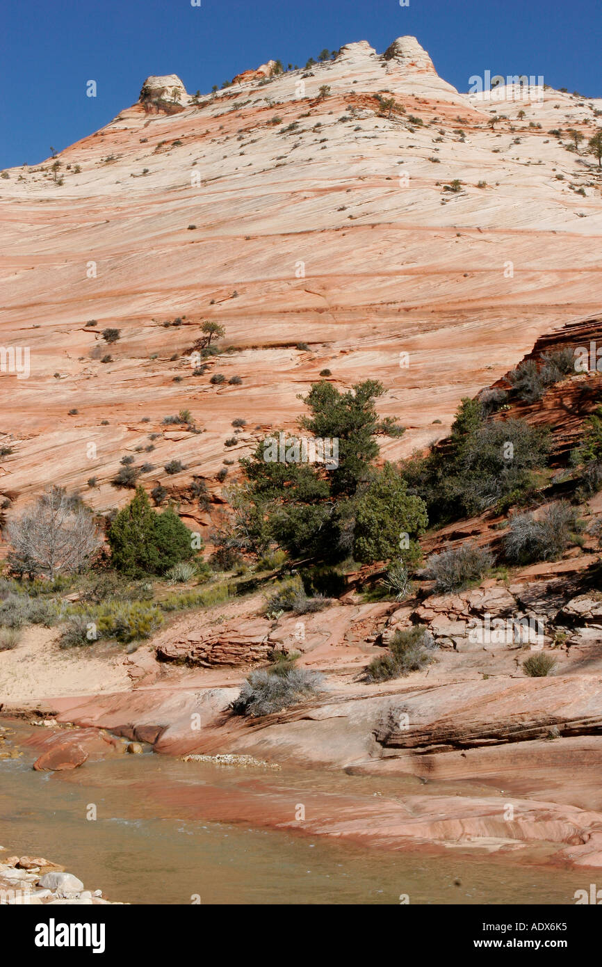 slickrock Zion National Park Utah USA Stock Photo - Alamy