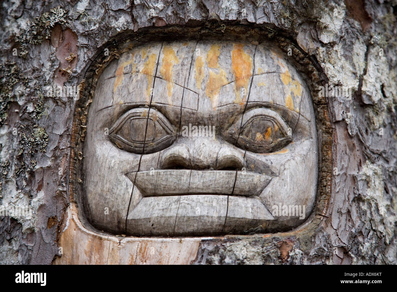 traditional living tree totem carving Juneau USA Alaska Stock Photo - Alamy