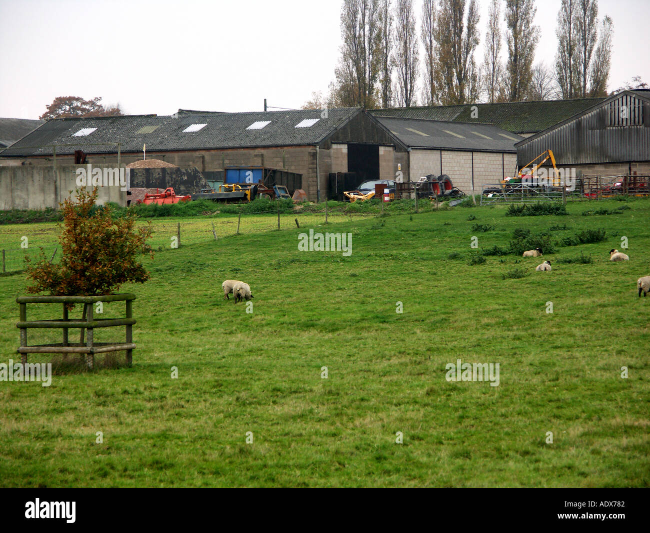 View of farm Drayton Bassett Stock Photo - Alamy
