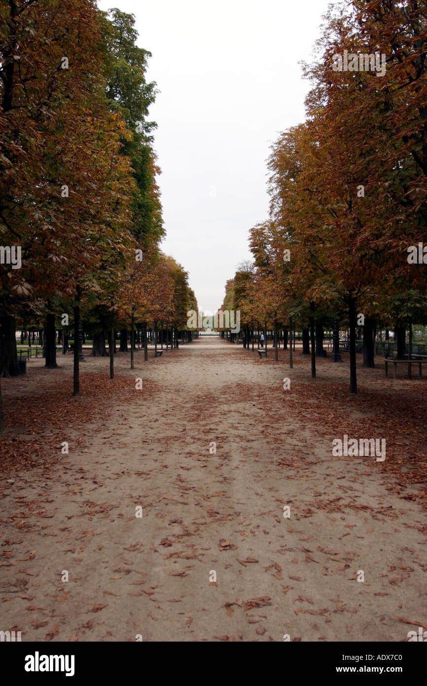 Way in a Paris park Stock Photo - Alamy