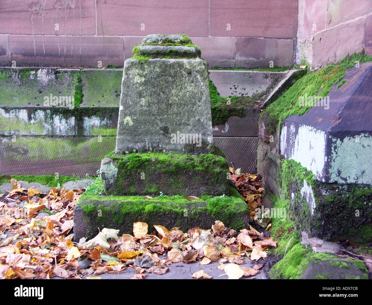 Old Memorial Stone with moss and leaves Stock Photo - Alamy