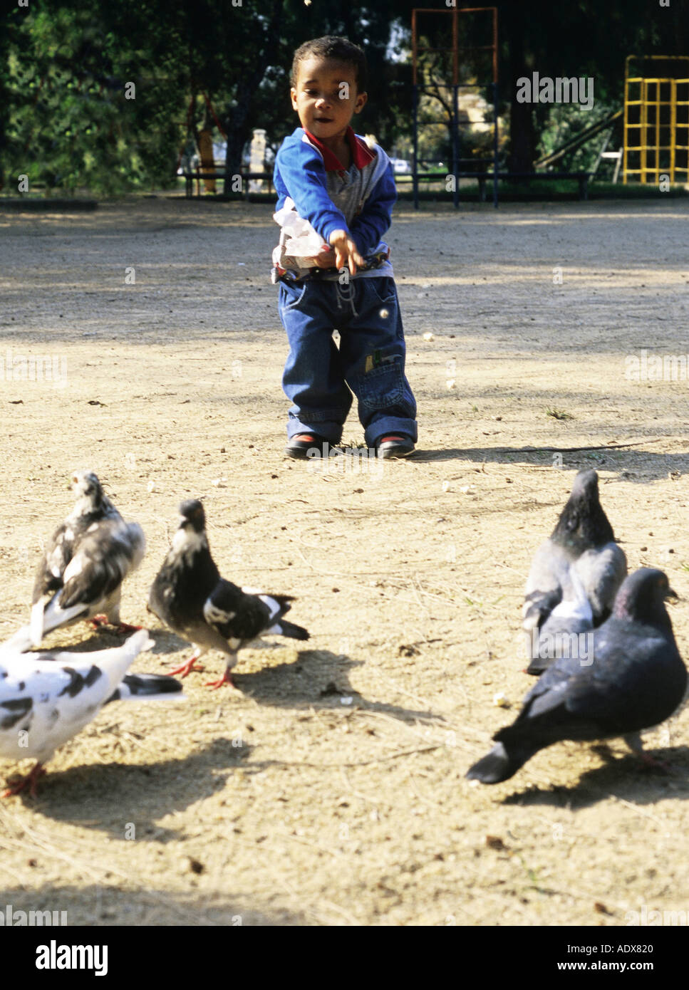 Children little black toddler standing pigeons pigeon fed feeding ...