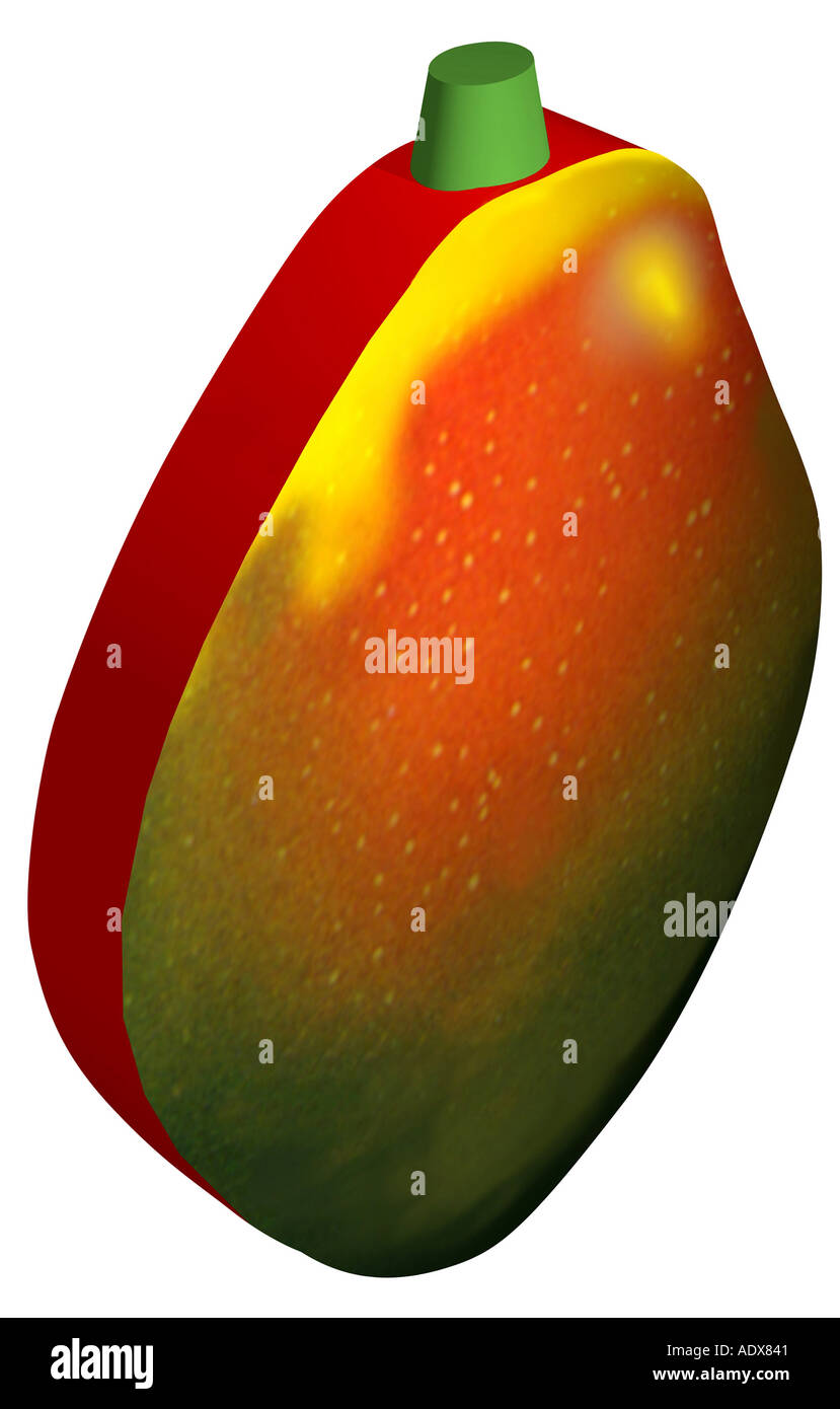 Illustrations mango vertical rendered virtual image stylized shaped as ...