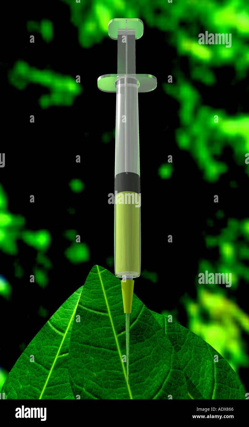 Illustrations syringe needle leaves chlorophyll photosynthesis nature ...