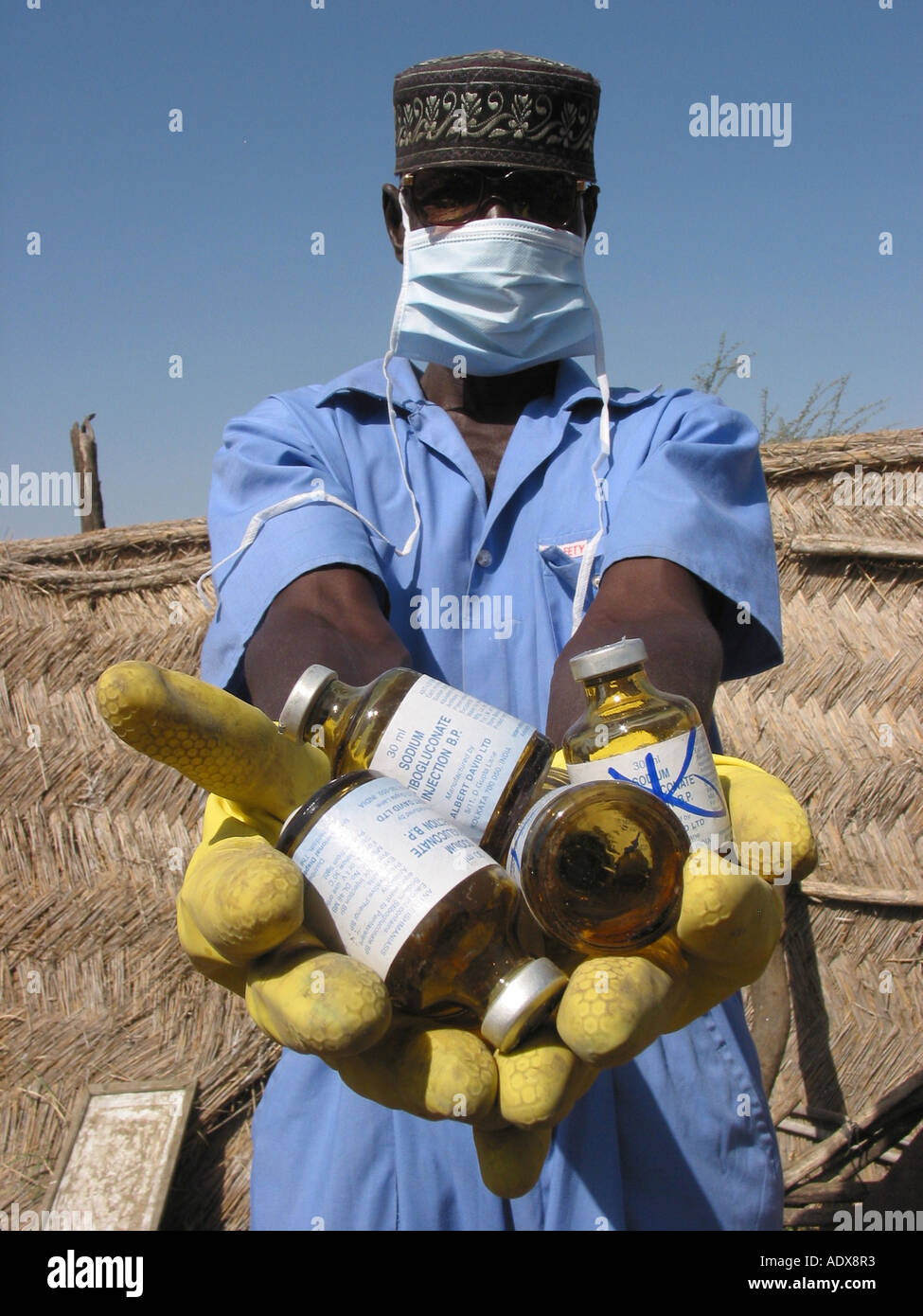 Kala azar hi-res stock photography and images - Alamy