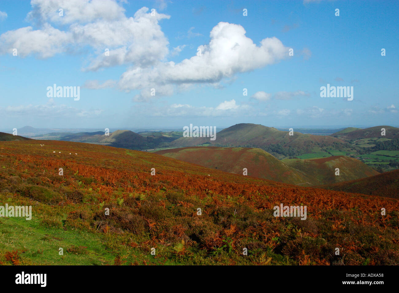 Shropshire Hills Lawley and Caer Caradoc looking from Long Mynd near ...