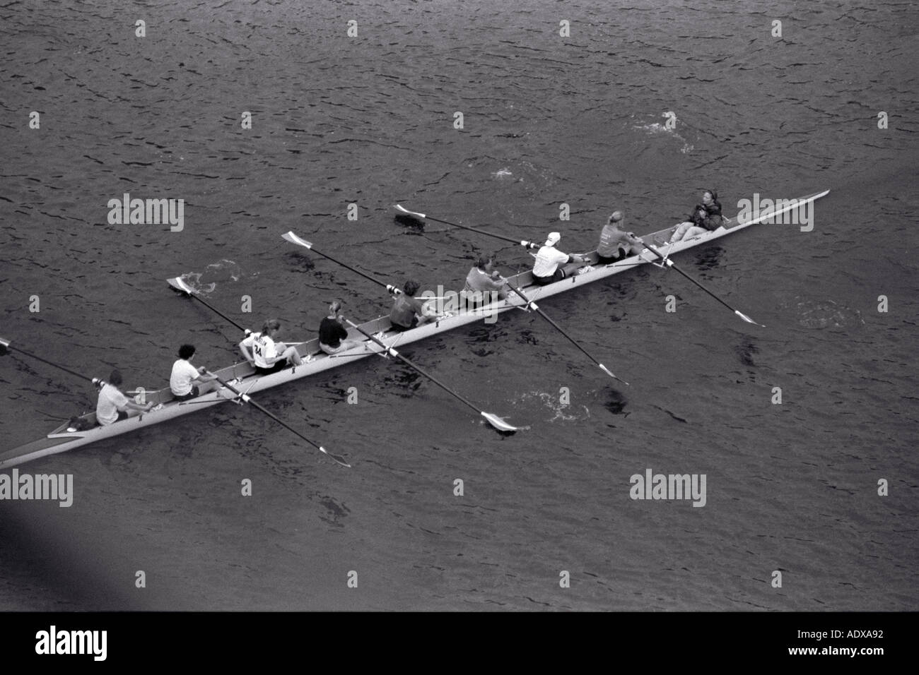 Racing Scull Team Stock Photo - Alamy