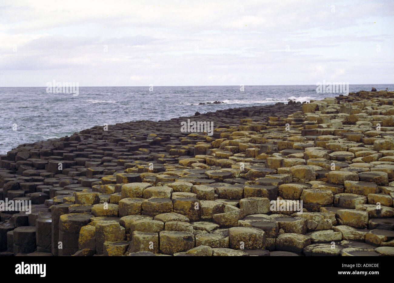 Giant's Causeway / basalt columns Stock Photo - Alamy