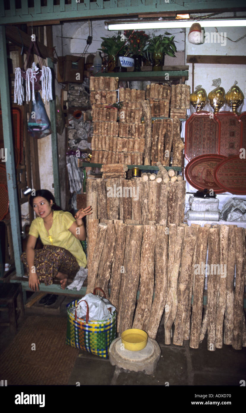 Sticks of Tanaka used by Burmese women to decorate their faces, also a ...
