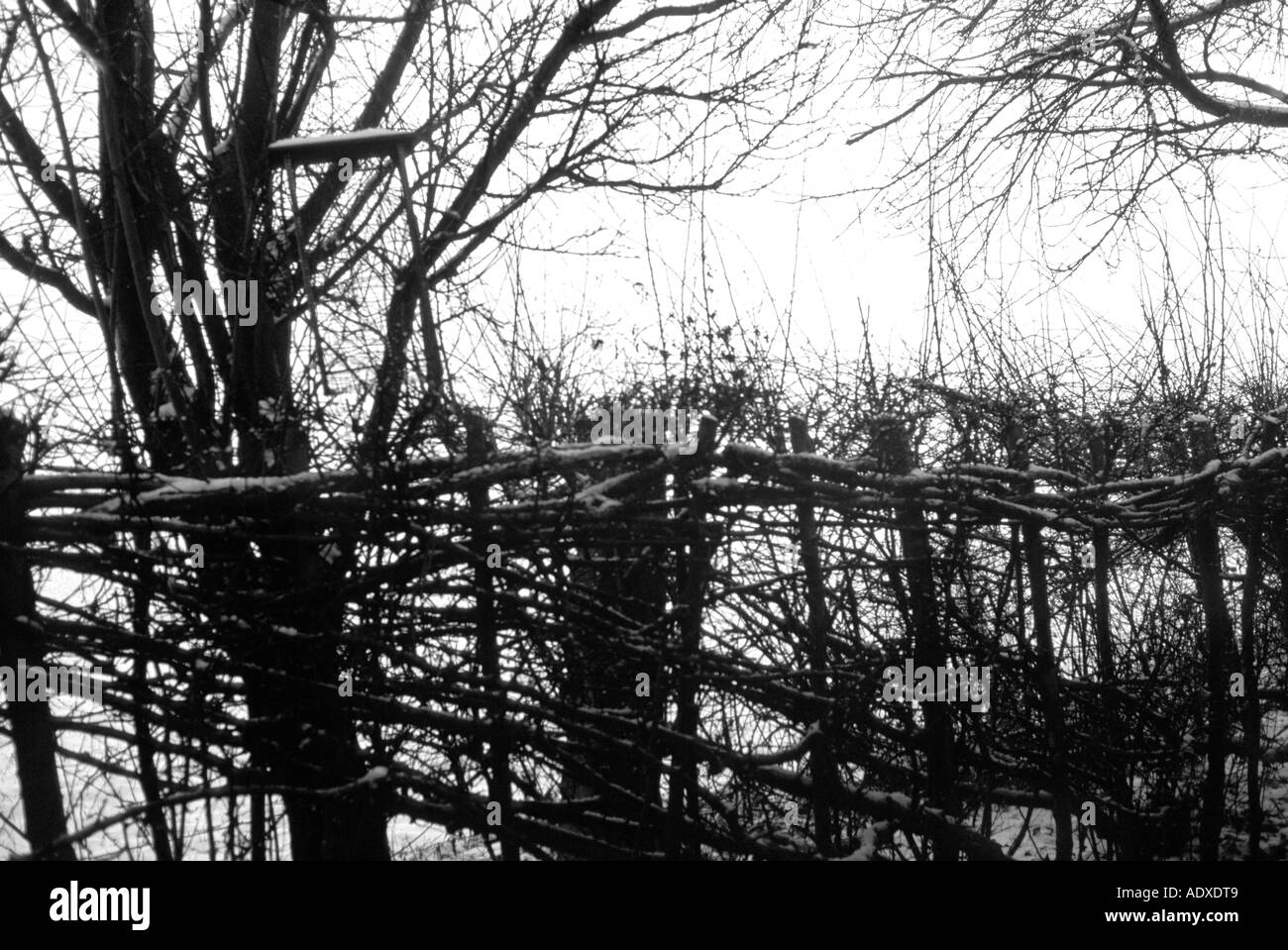 Norfolk winter Black and White Stock Photos & Images - Alamy