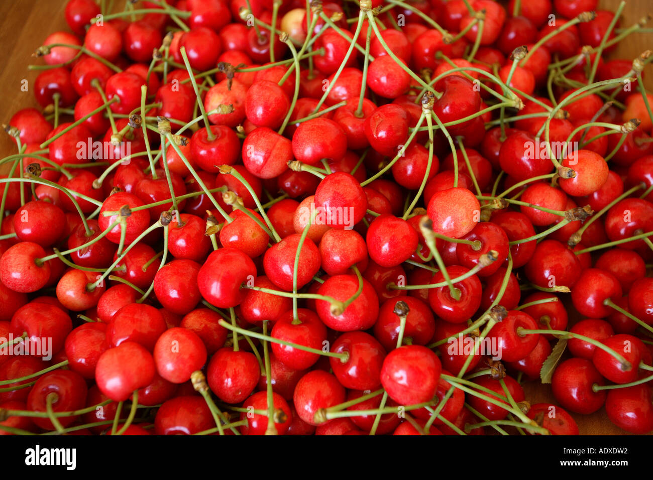 English cherries hi-res stock photography and images - Alamy