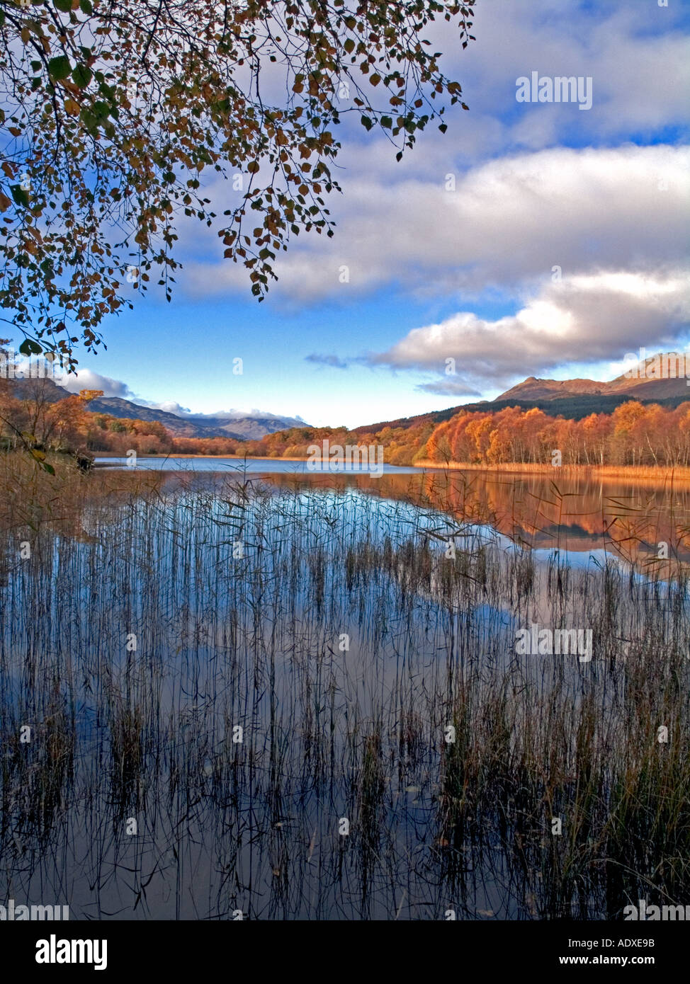 Loch lomond autumn people hi-res stock photography and images - Alamy