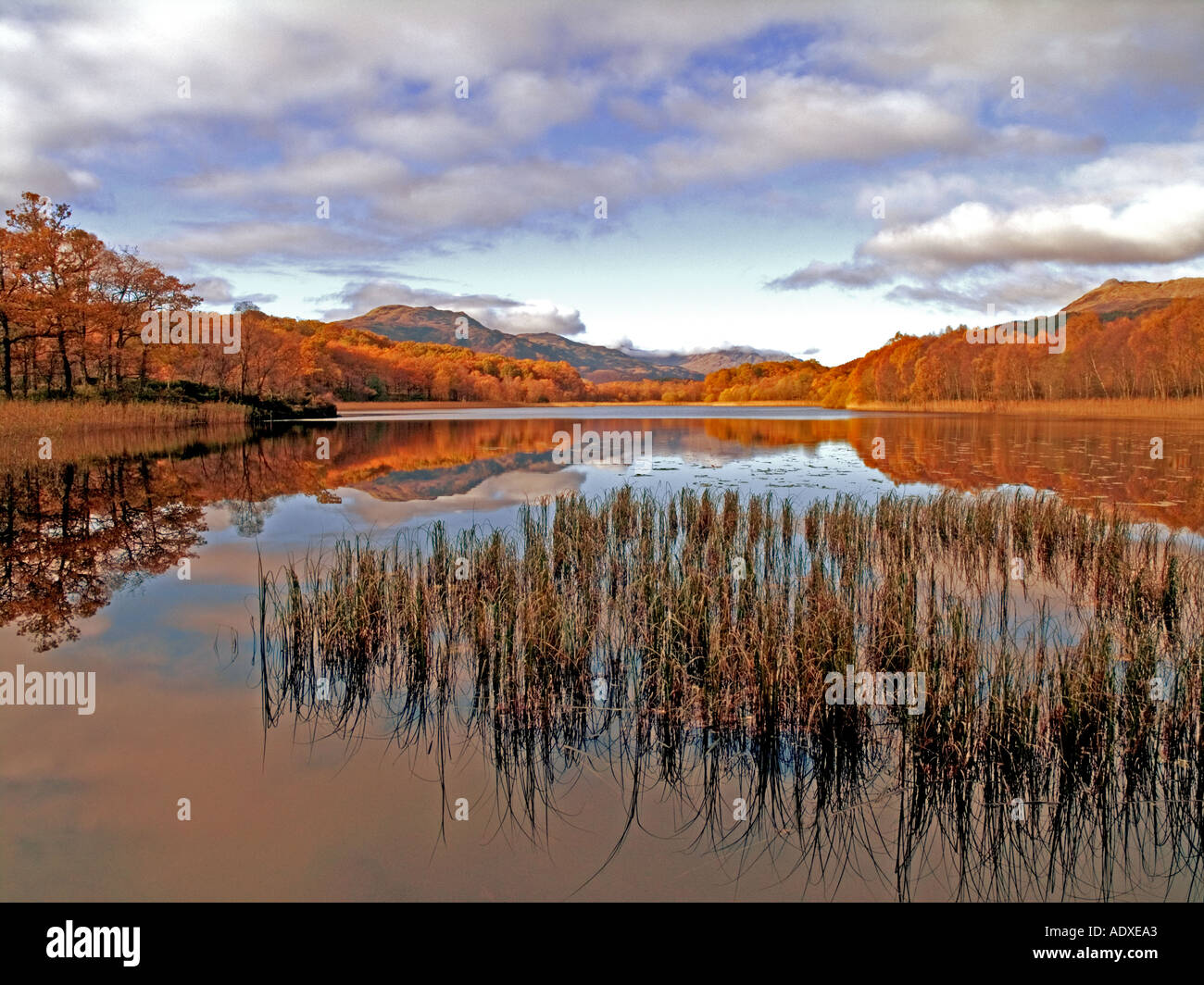 AUTUMN AT LOCH LOMOND SCOTLAND Stock Photo - Alamy