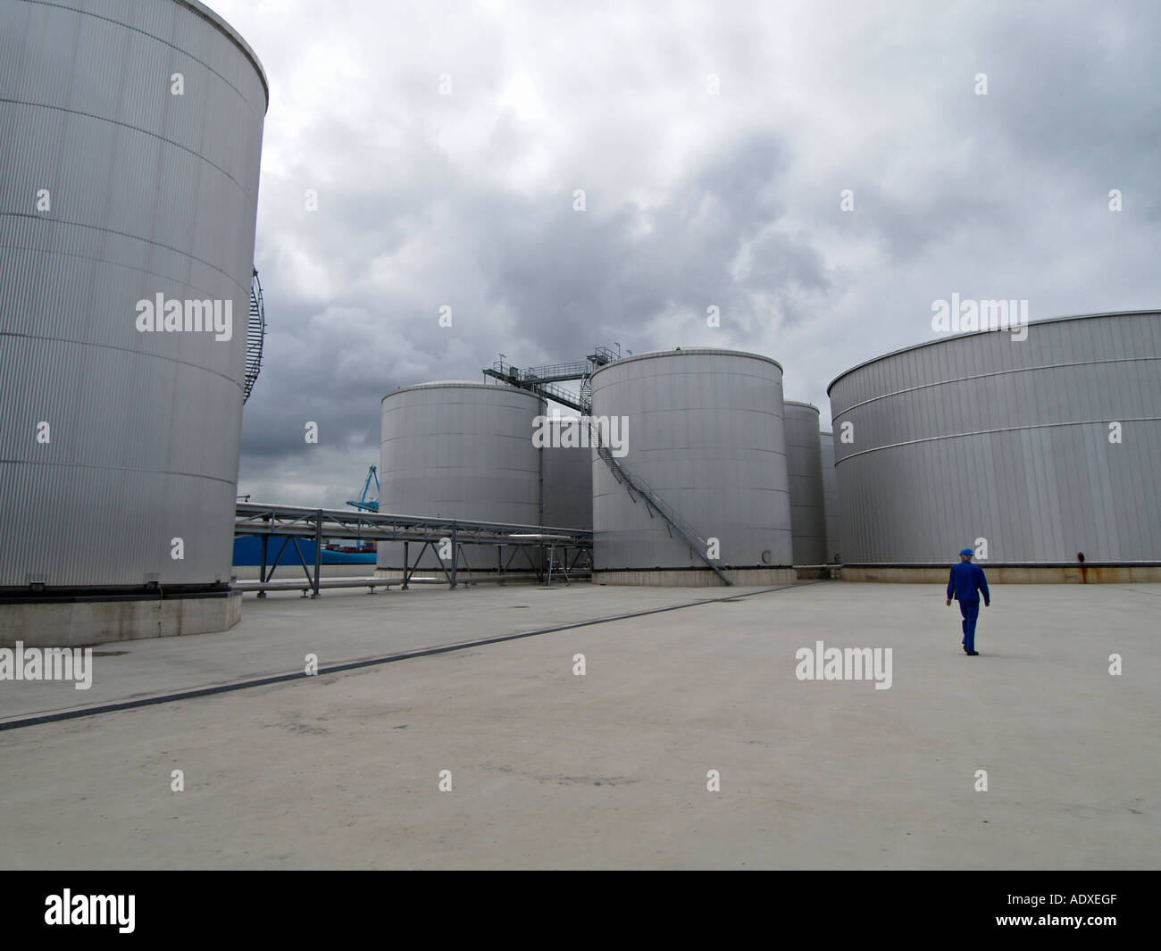 Crude palm oil tanks with little figure to show scale Rotterdam port ...