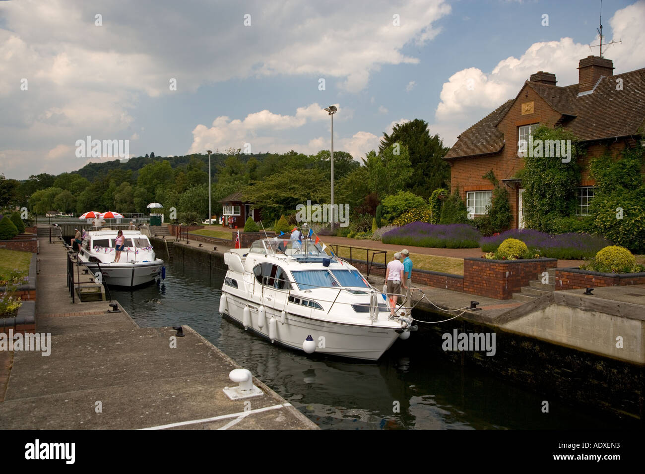 Trees river thames hi-res stock photography and images - Alamy