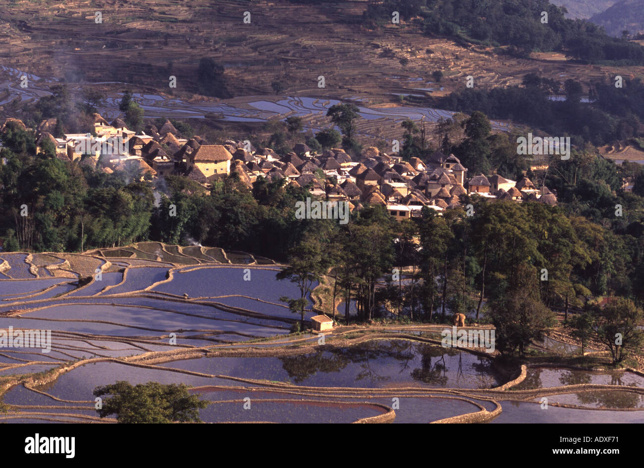 Yunnan hani ethnic group yuanyang terraces hi-res stock photography and ...