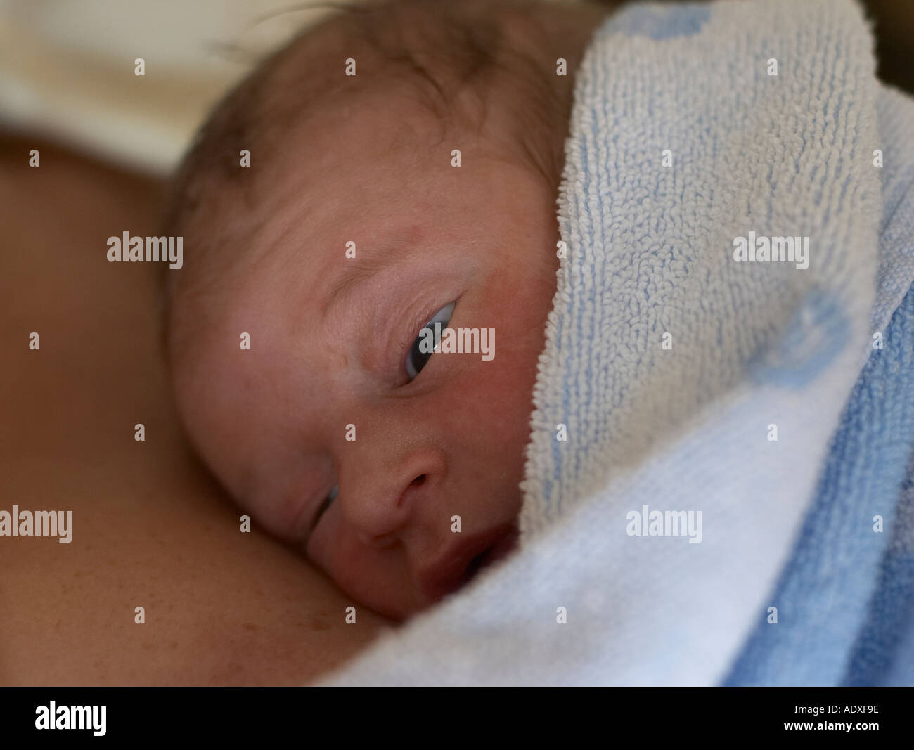 new born, covered up Stock Photo - Alamy