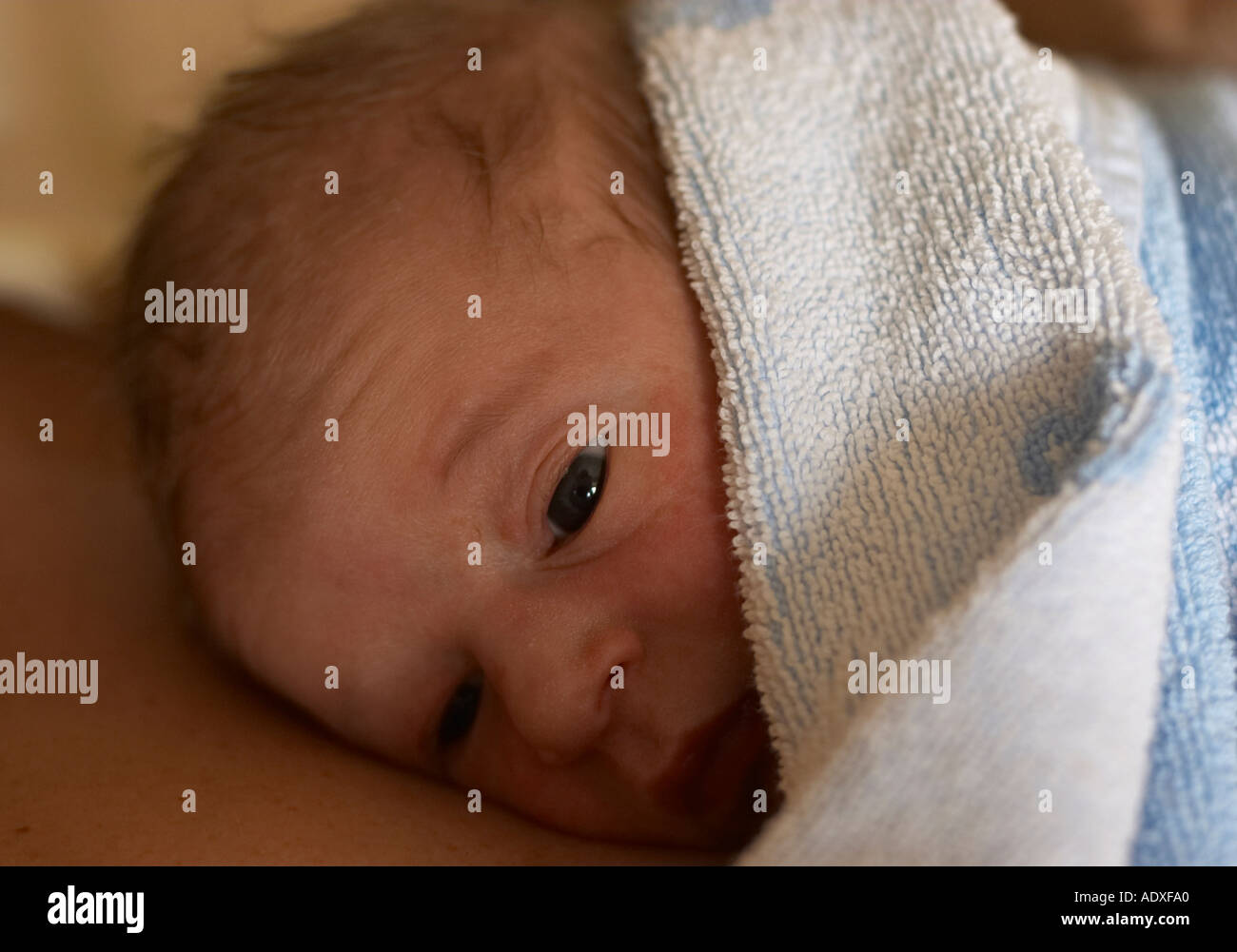 new born, covered up Stock Photo - Alamy
