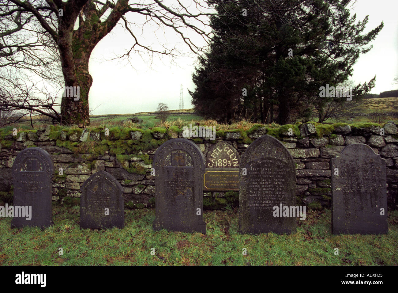These gravestones were removed from the village of Capel Celyn before ...