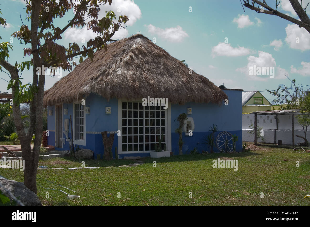 Blue house with straw roof Cozumel Mexico Central Latin America Stock ...