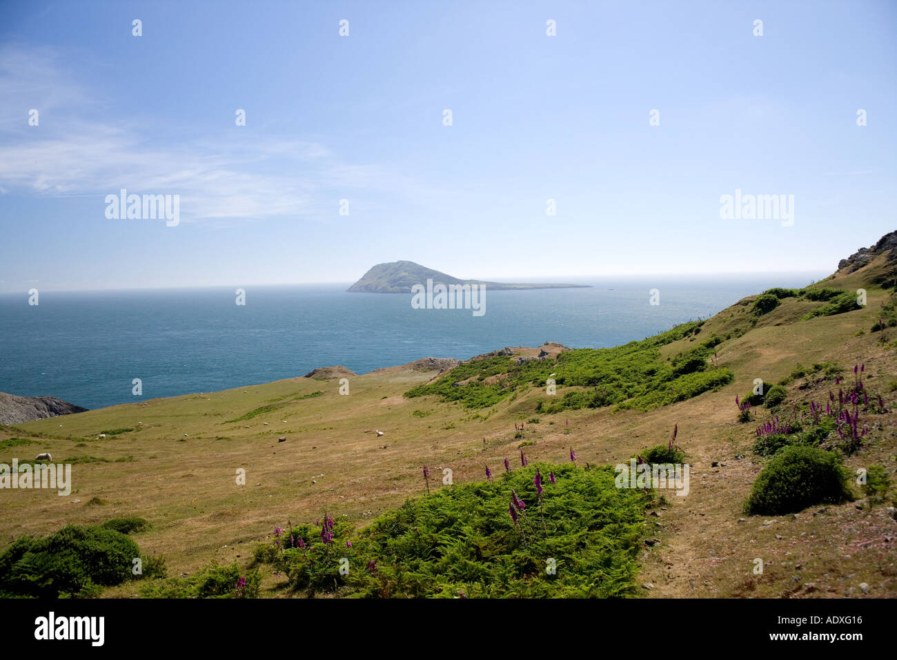 Bardsey island from Mynydd Mawr hill near Aberdaron LLeyn Peninsula ...