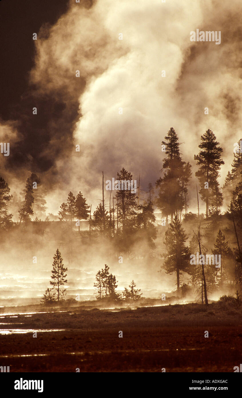 Environmental Endangerment High Resolution Stock Photography and Images ...