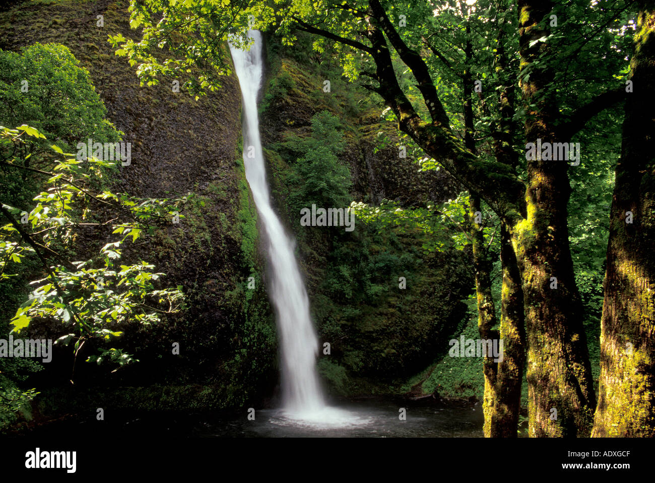 Waterfall Hood River Oregon USA Stock Photo - Alamy