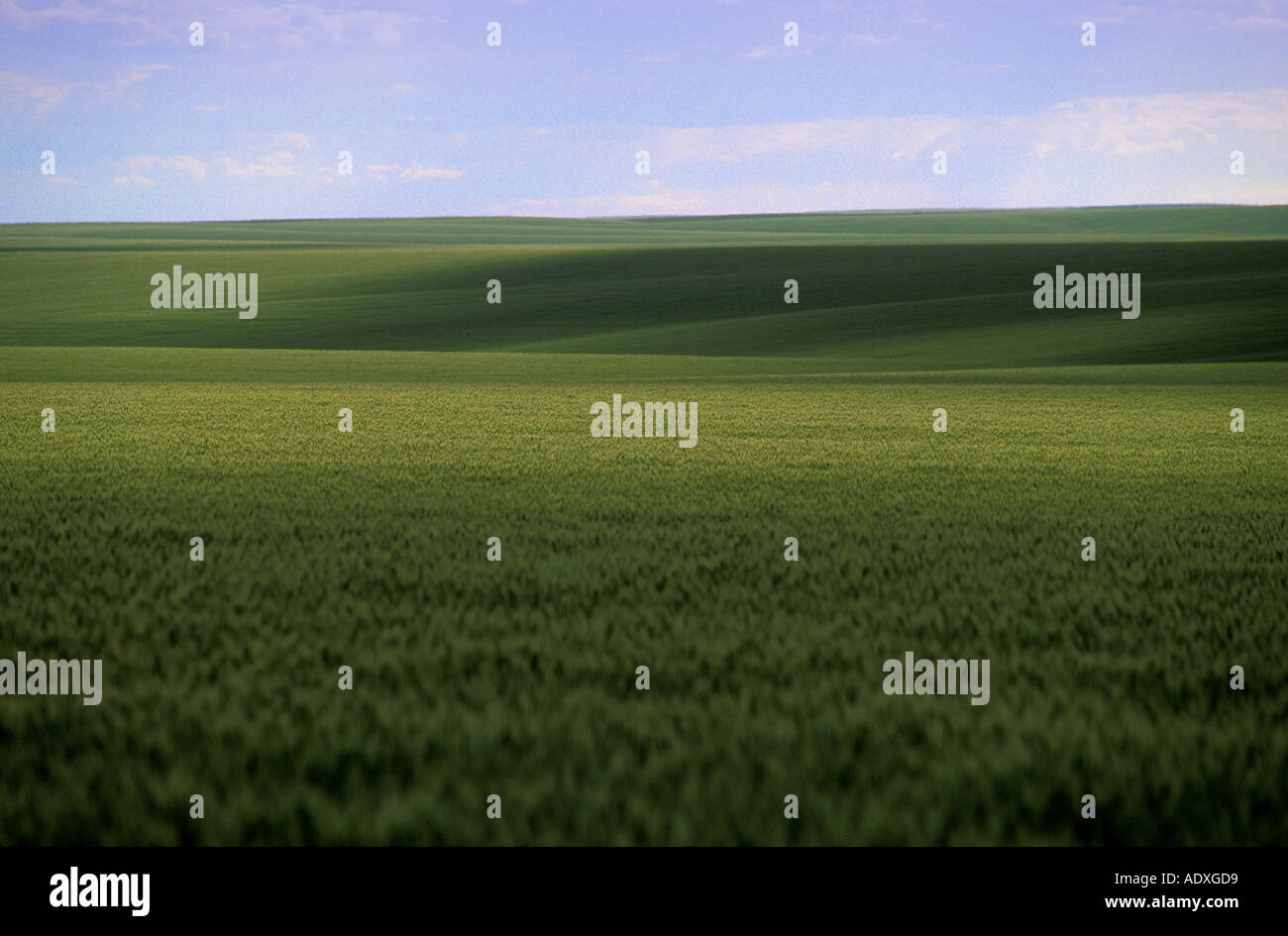 Eastern washington farm irrigation hi-res stock photography and images ...