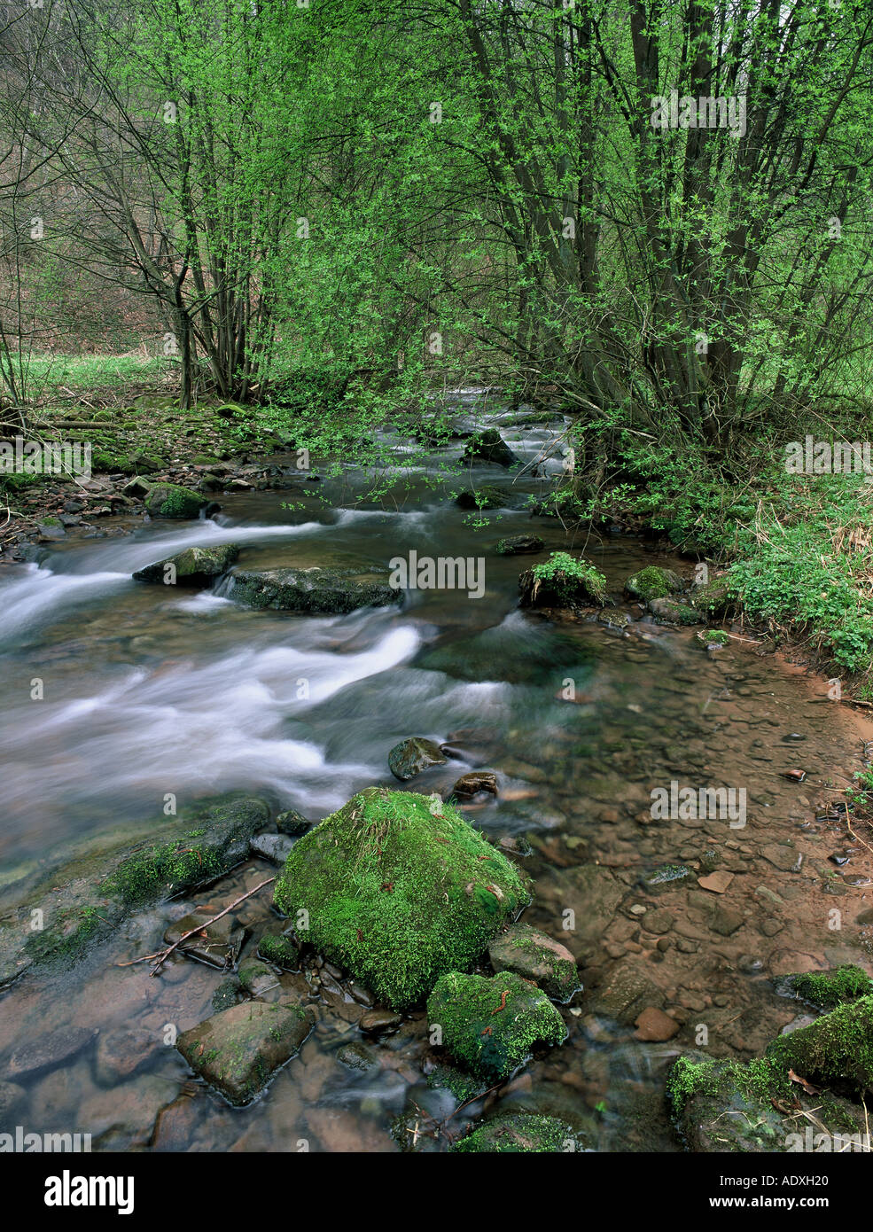 Rushing brook course hi-res stock photography and images - Alamy