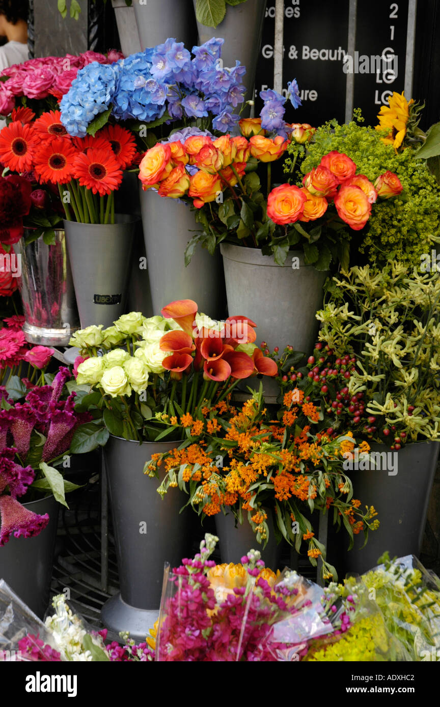 Flower display in London England Stock Photo - Alamy