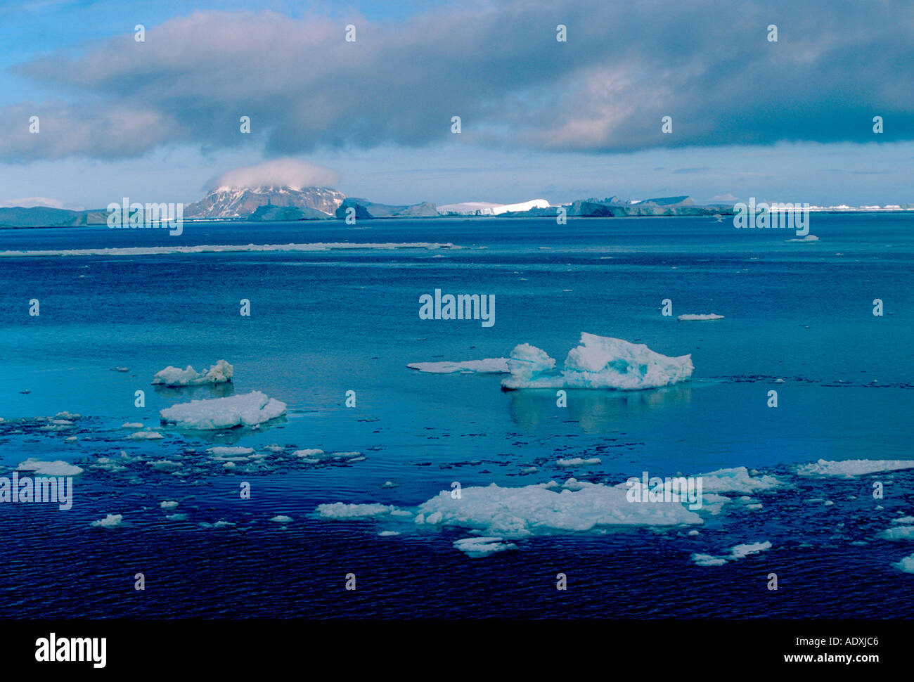 Antarctica antarctic peninsula hope bay hi-res stock photography and ...