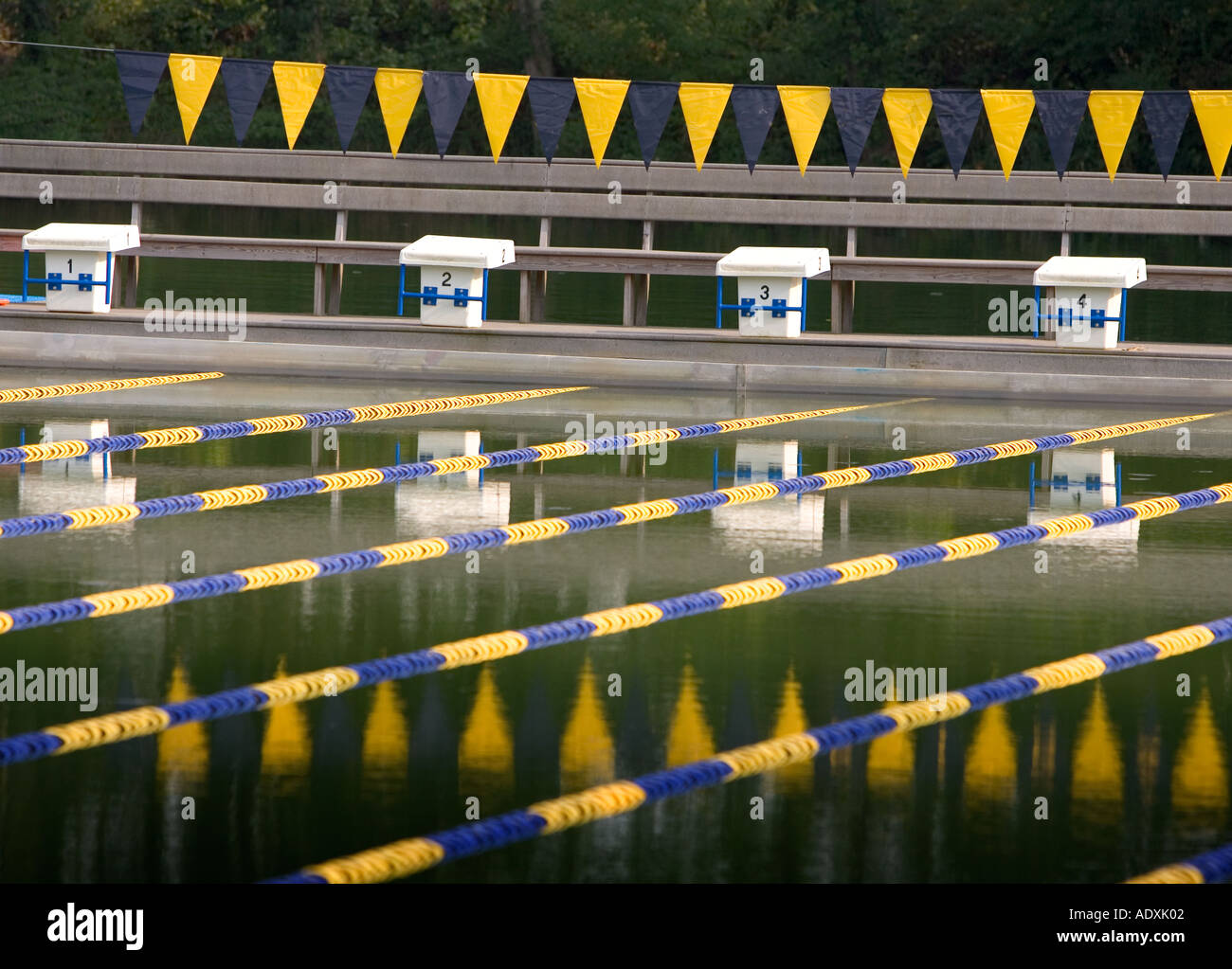 Swimming pool before a meet Stock Photo - Alamy