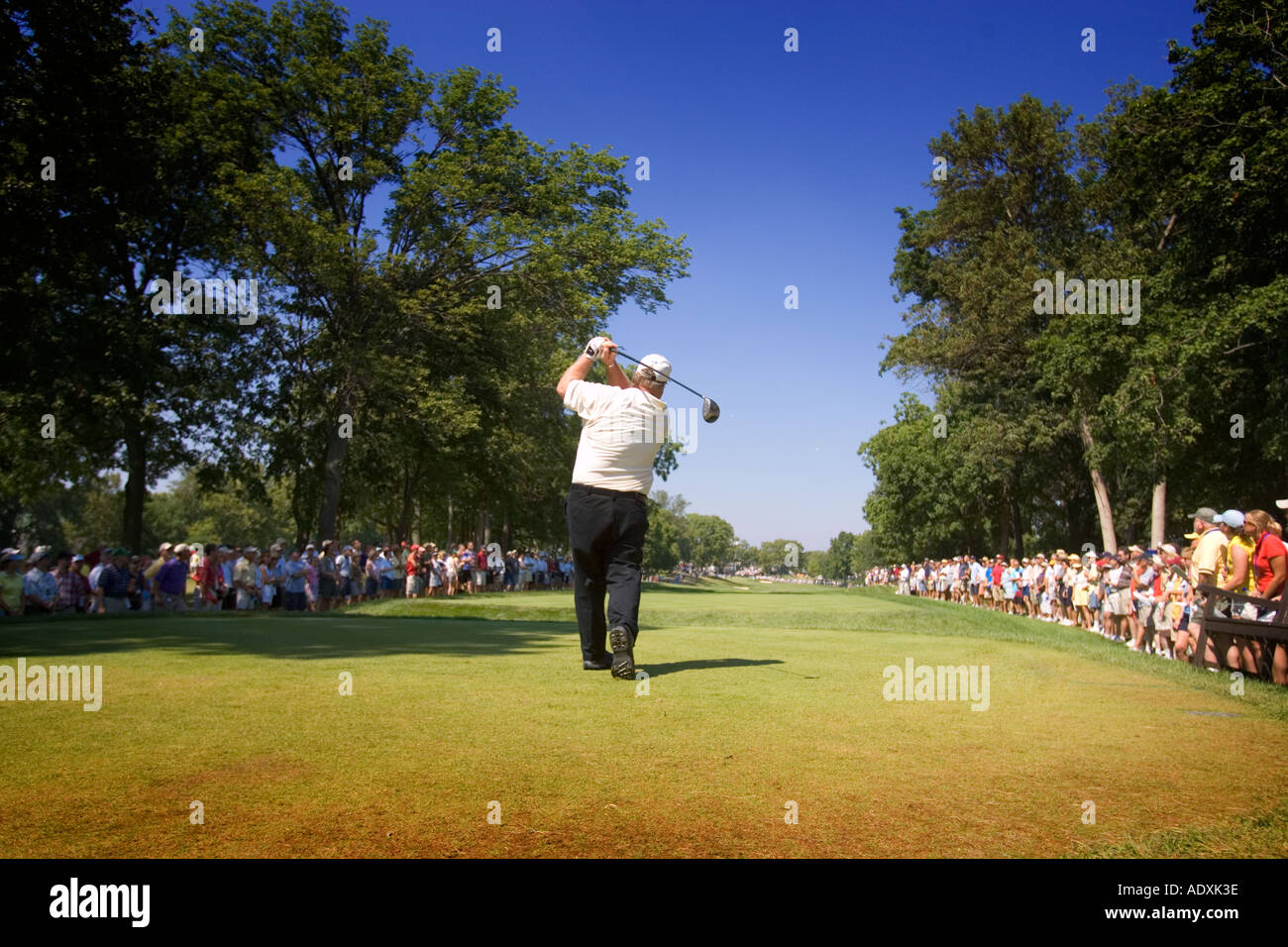 Golfer teeing off Stock Photo - Alamy
