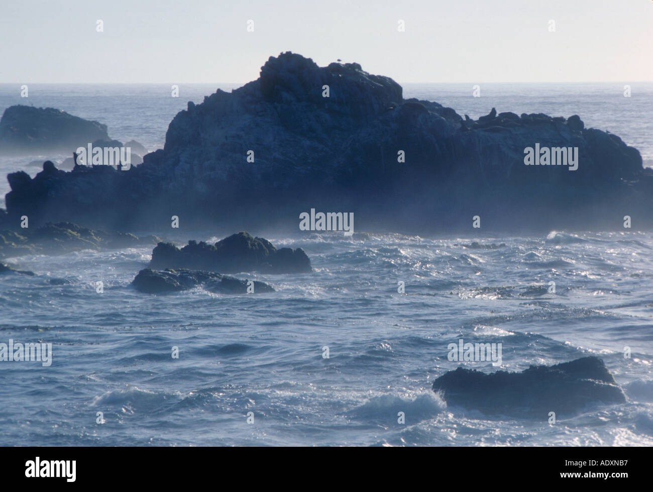 Point Lobos State Park California Stock Photo - Alamy