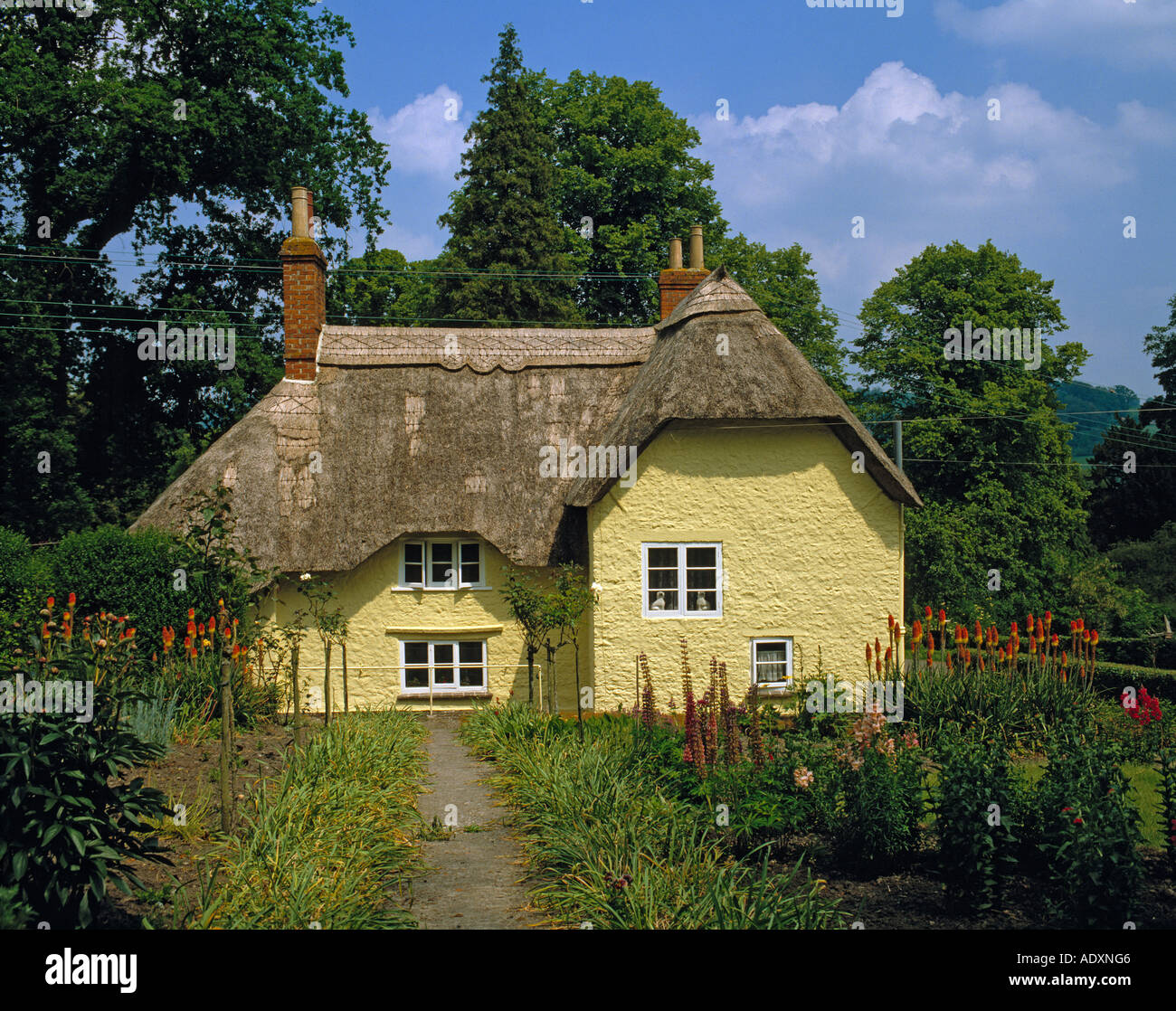 Thatched Country cottage in Somerset,. UK Stock Photo - Alamy
