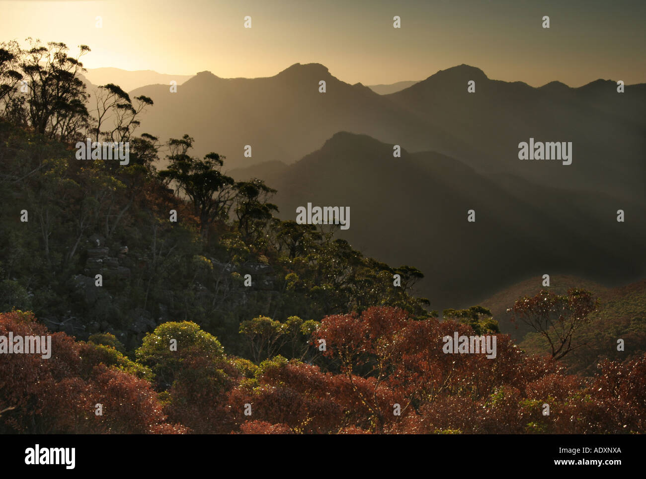 Mount William Victoria High Resolution Stock Photography and Images - Alamy