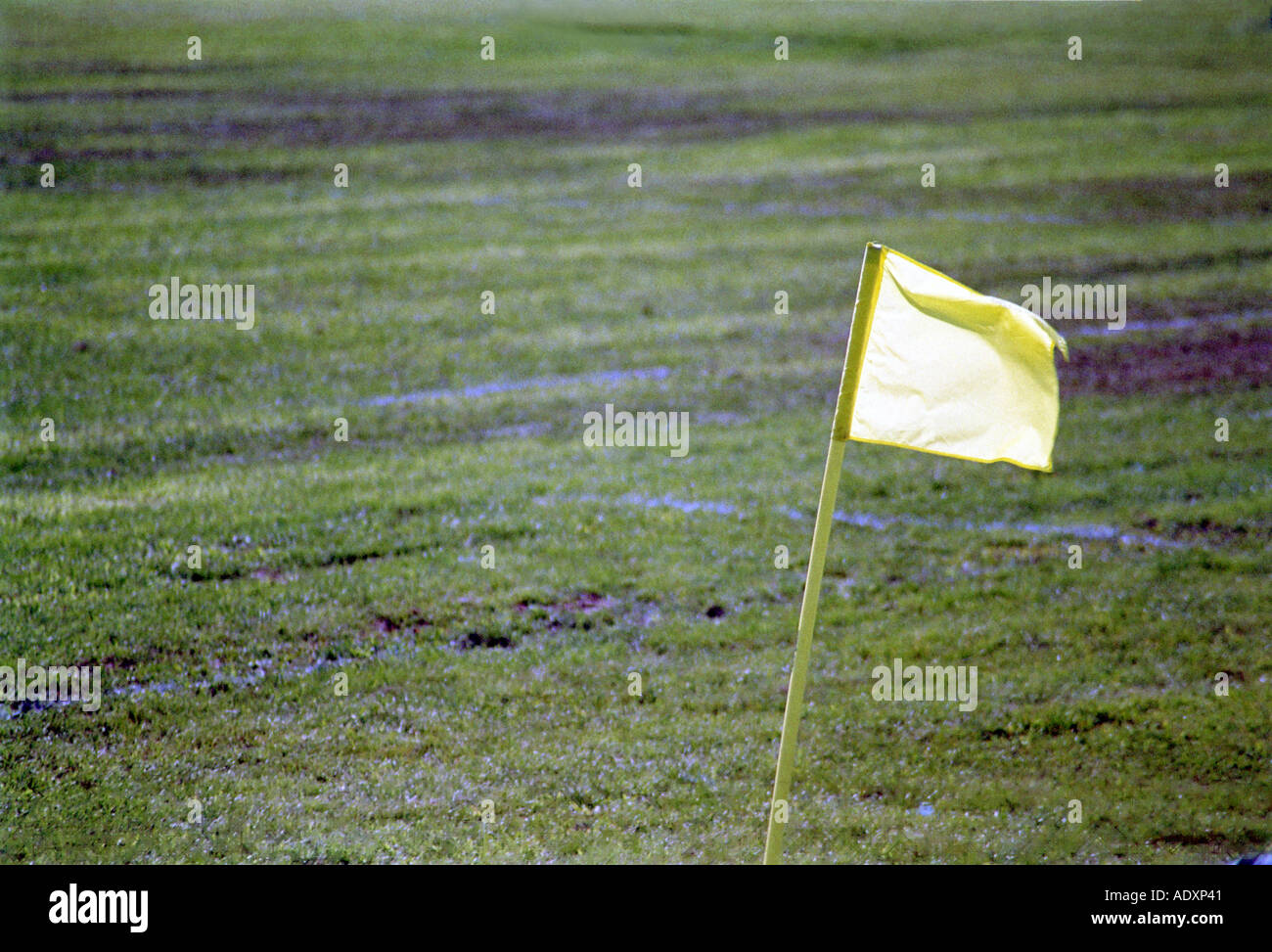 yellow flag flying on sports field Stock Photo - Alamy