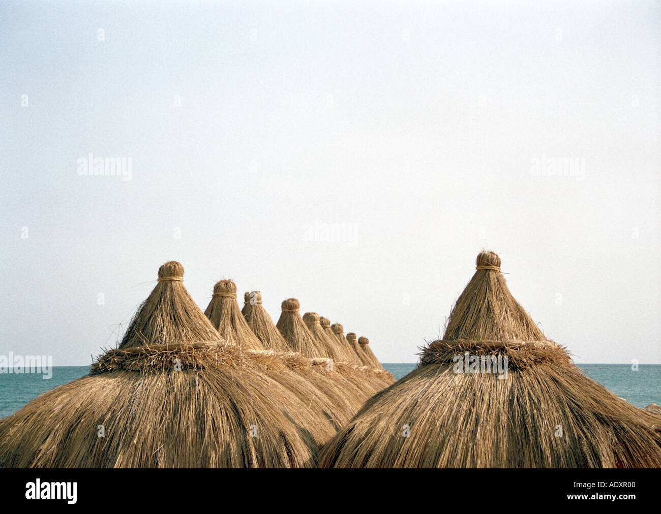 tops of row of straw beach huts roofs Stock Photo - Alamy
