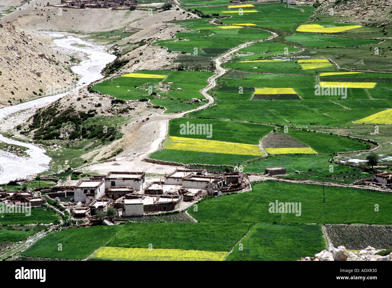 Village and agriculture in the Himalaya in Tibet China Stock Photo - Alamy