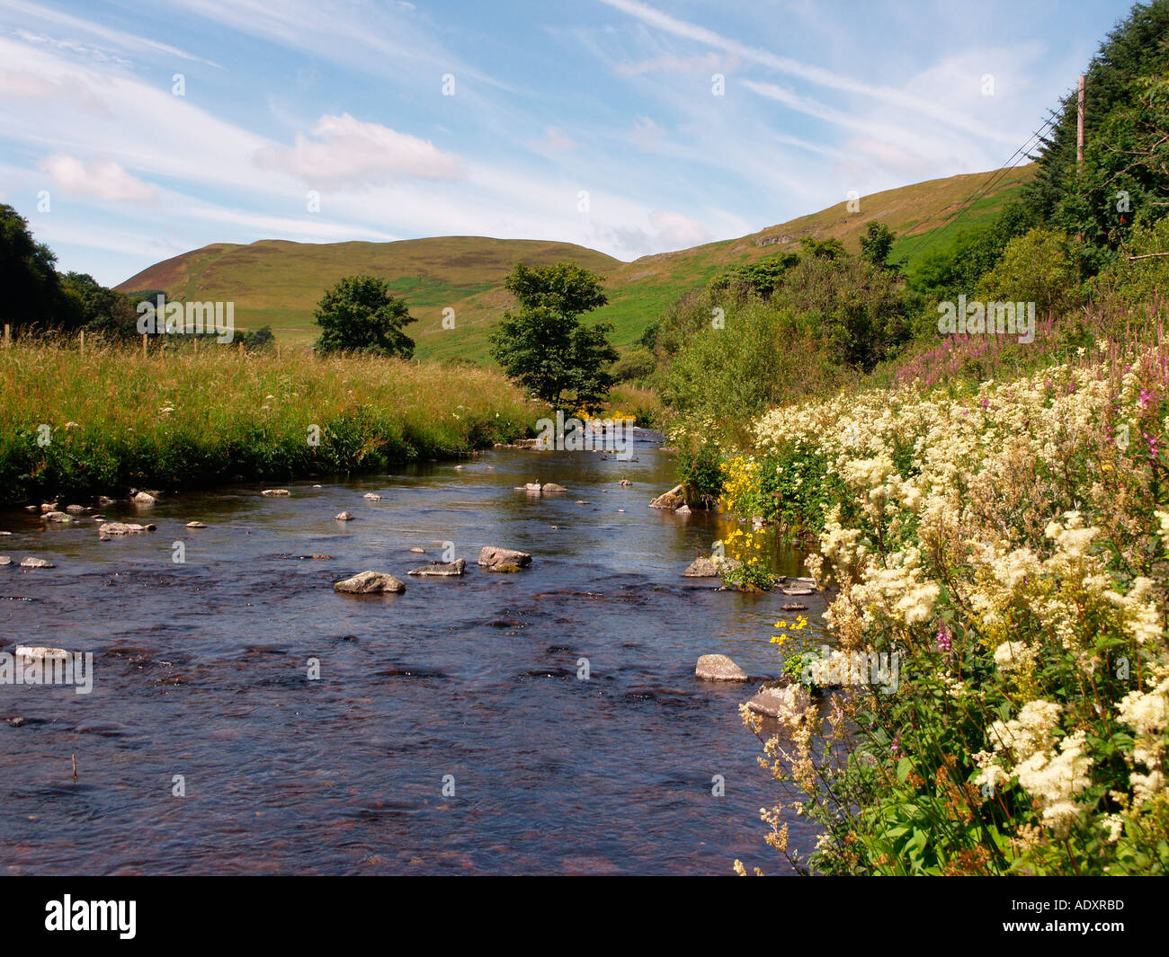 Summer beside the "river Devon "Glendevon Perthshire Scotland Stock ...