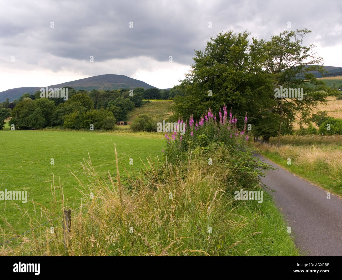 Vicar’s bridge scotland hi-res stock photography and images - Alamy