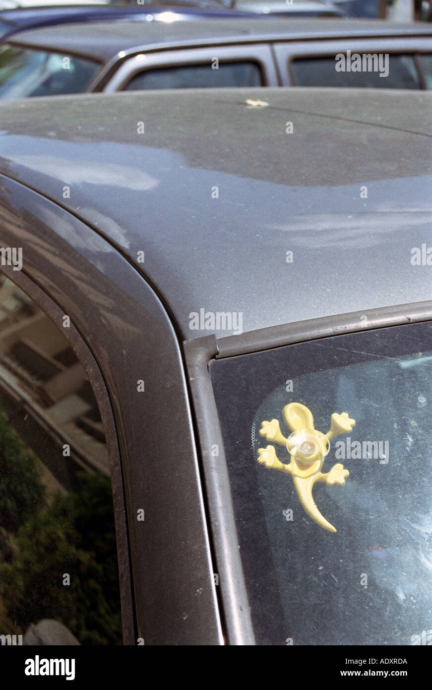 sticky yellow lizard model on car back window Stock Photo - Alamy