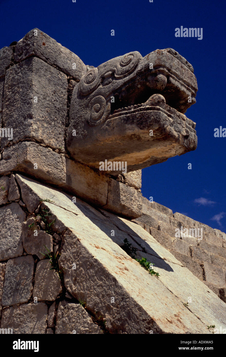 serpent head, Platform of Venus, Chichen Itza Archaeological Site ...