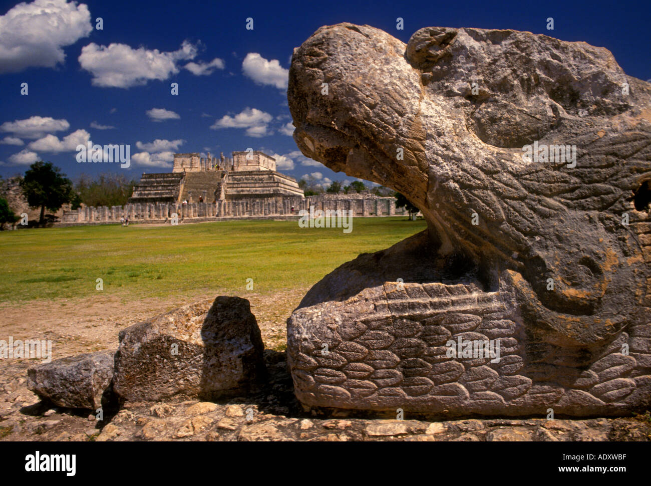Plumed serpent hi-res stock photography and images - Alamy